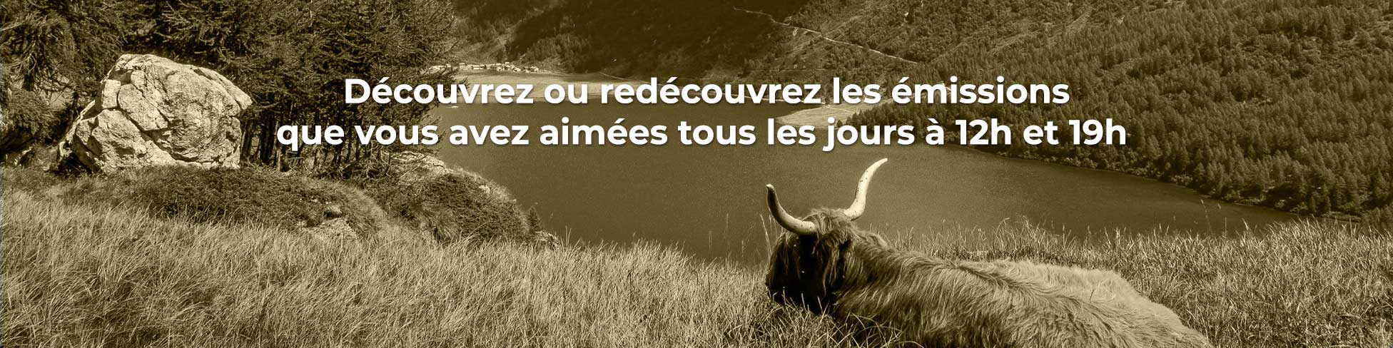 Conseils de vie professionnels et interprétation de l'avenir | clefs.tv